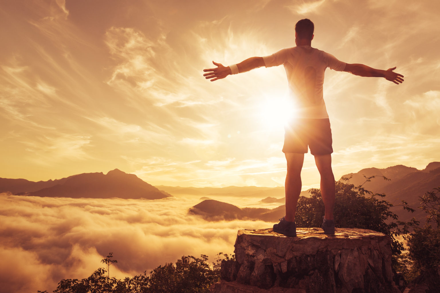 Losing Connection with Our Higher Power | The Guest House